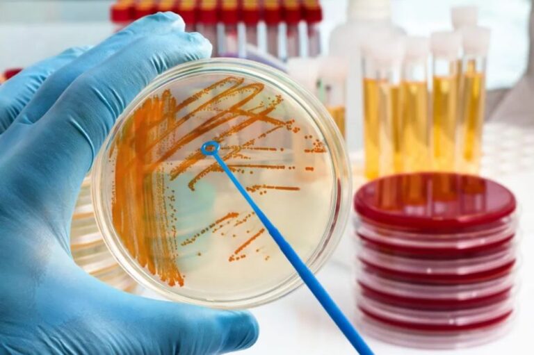 FSSAI & NABL Approved Food Testing Lab - Shriram Food and Pharma ...